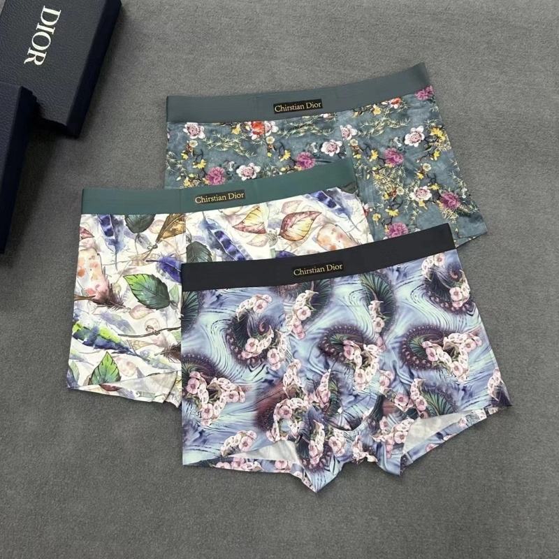 Indistinguishable Christian Dior Underwear