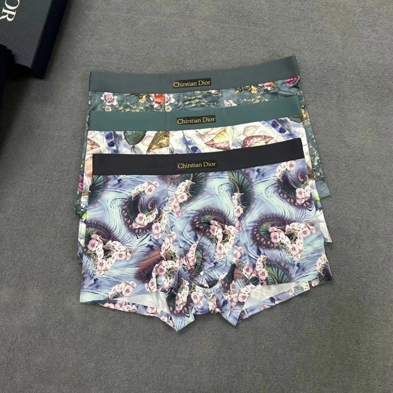 Indistinguishable Christian Dior Underwear