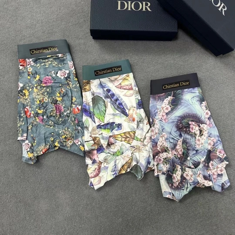 Indistinguishable Christian Dior Underwear