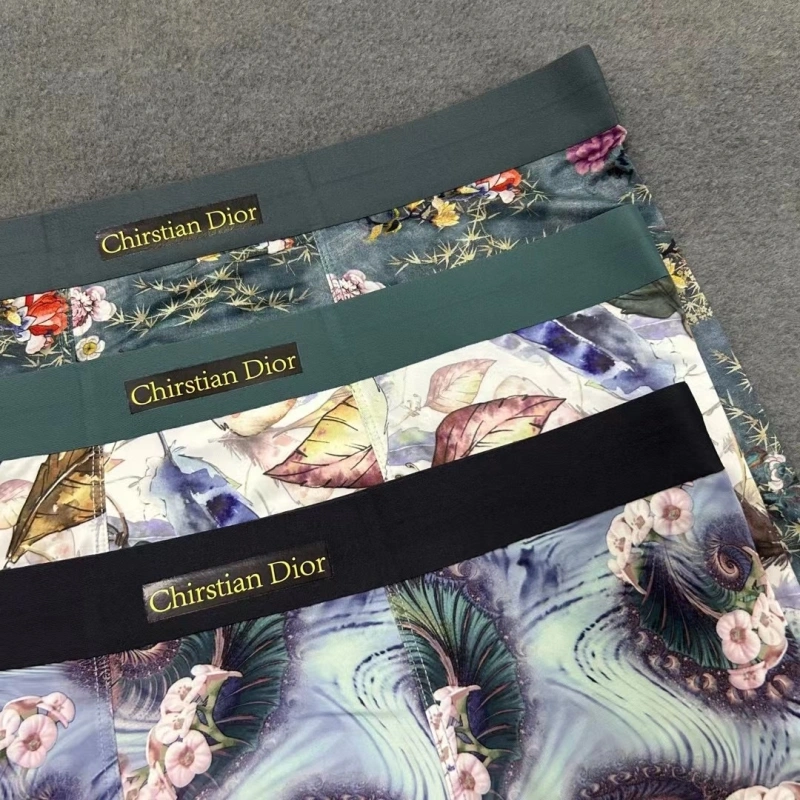 Indistinguishable Christian Dior Underwear