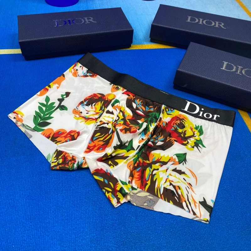 Budget-friendly Christian Dior Underwear