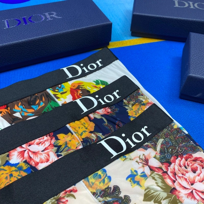 Budget-friendly Christian Dior Underwear