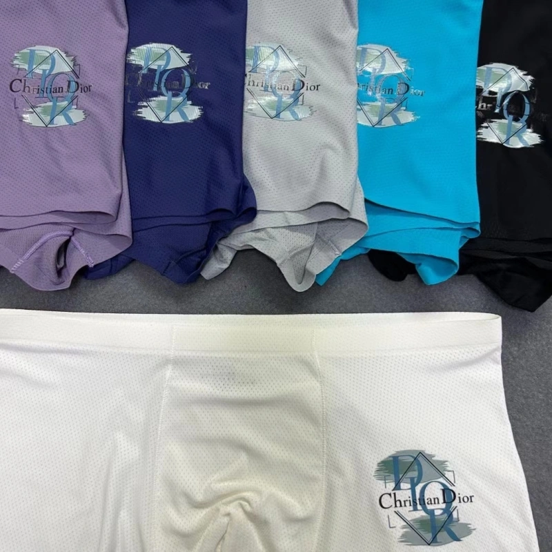 Mirror quality Christian Dior Underwear