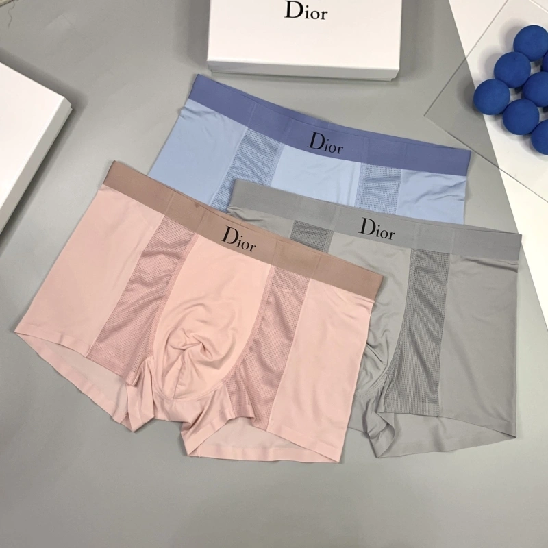 Christian Dior Underwear