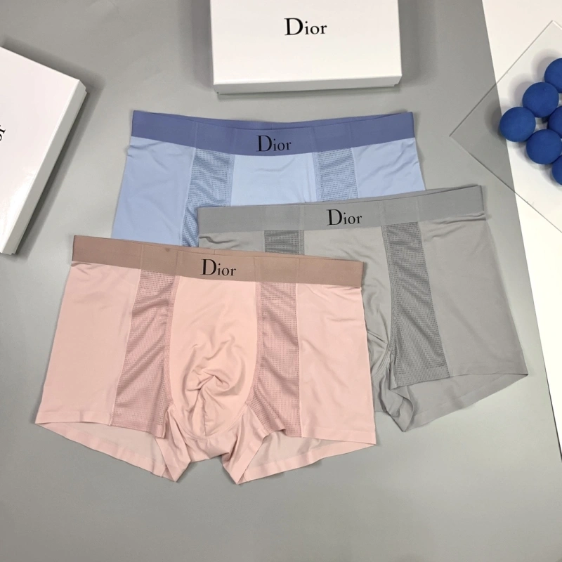 Indistinguishable Christian Dior Underwear