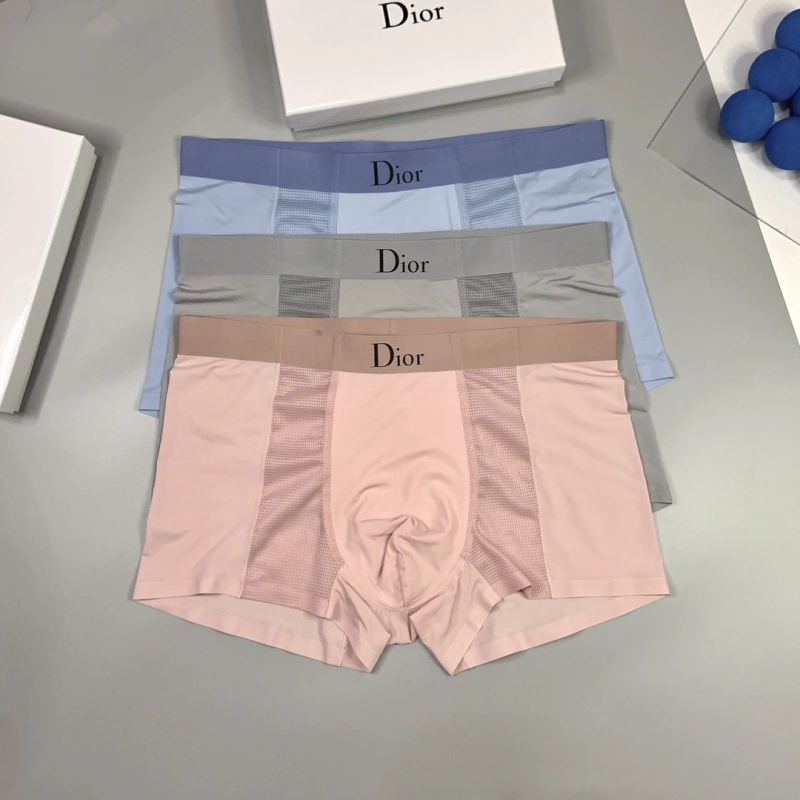 Indistinguishable Christian Dior Underwear