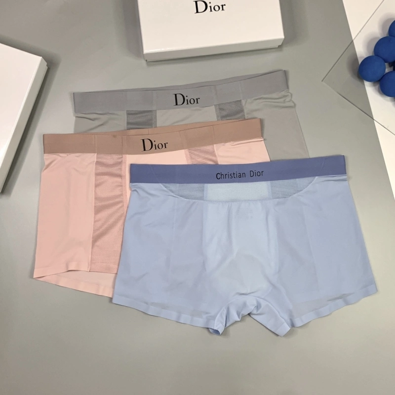 Indistinguishable Christian Dior Underwear