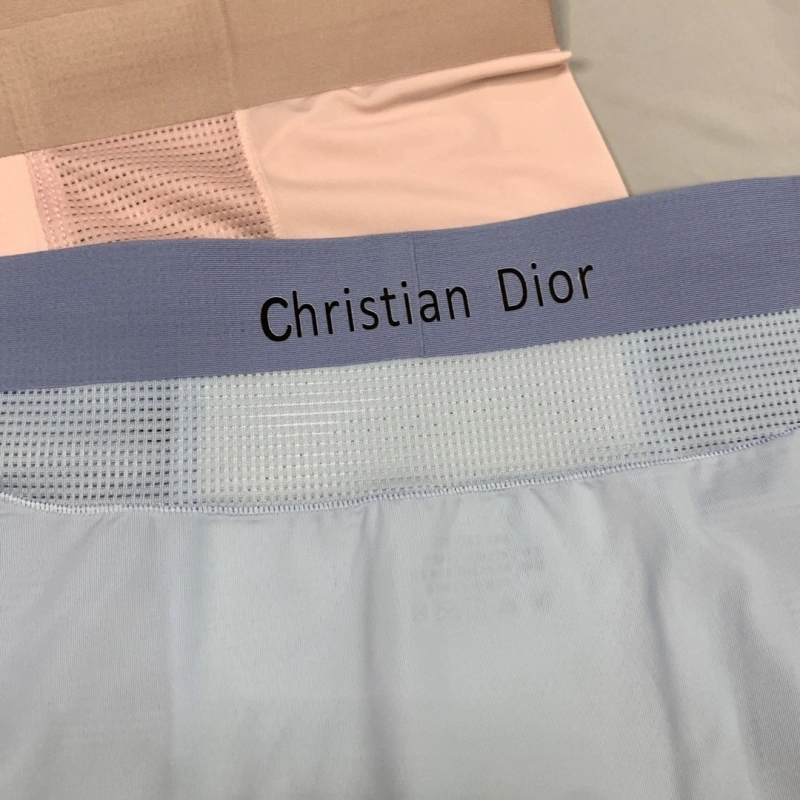 Indistinguishable Christian Dior Underwear