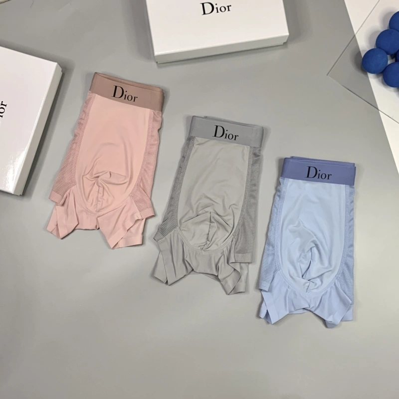 Indistinguishable Christian Dior Underwear