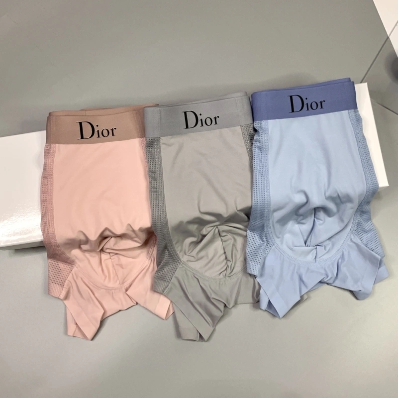 Indistinguishable Christian Dior Underwear