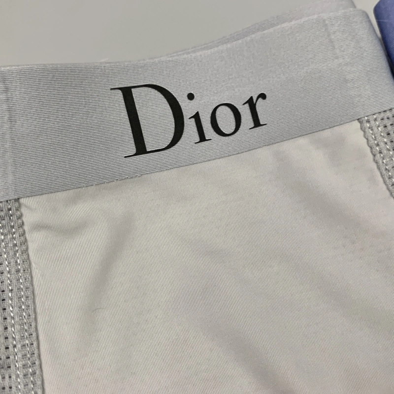 Indistinguishable Christian Dior Underwear