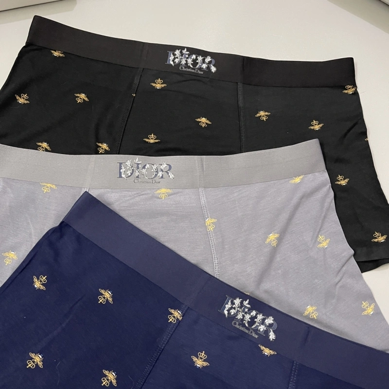 Christian Dior Underwear