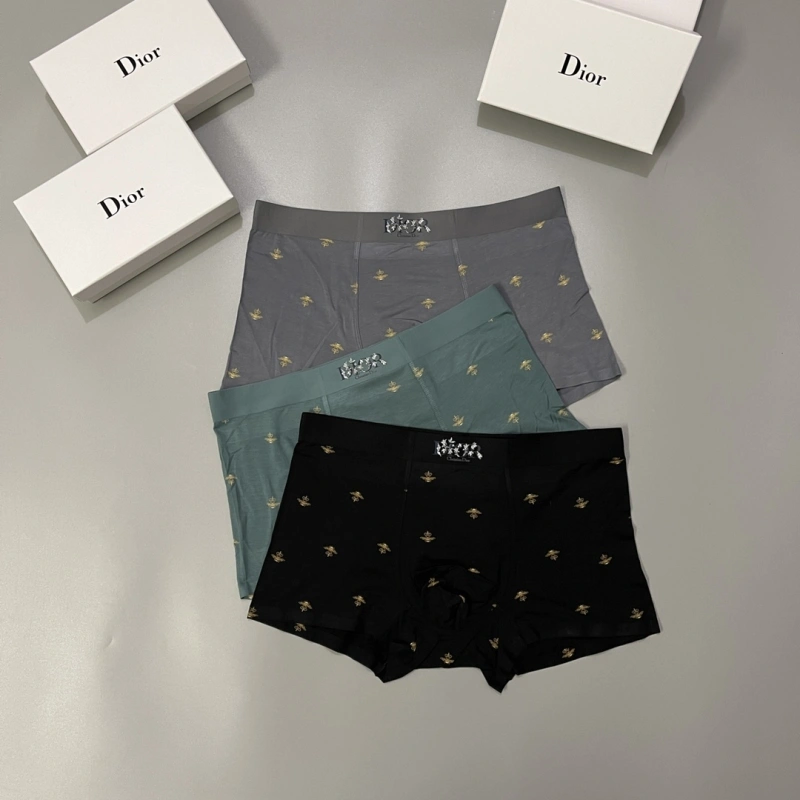 Christian Dior Underwear