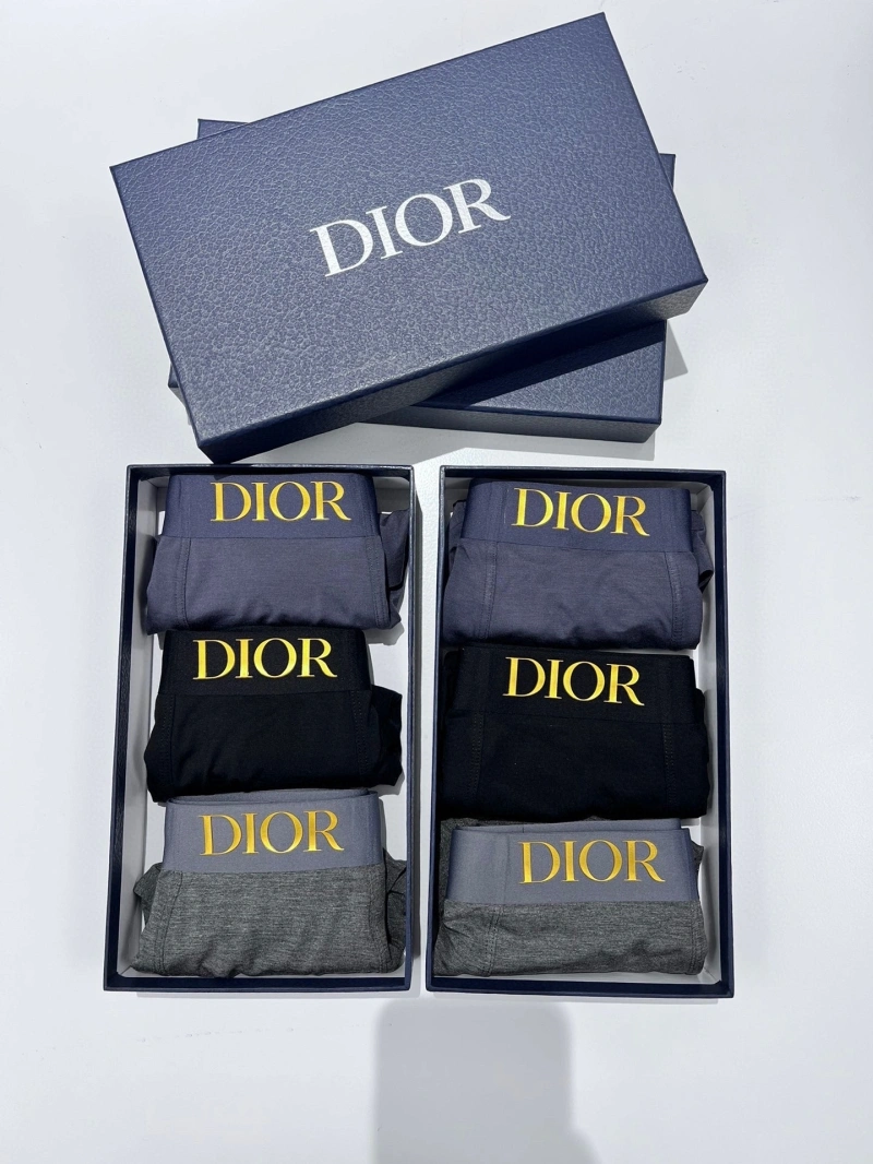 Christian Dior Underwear