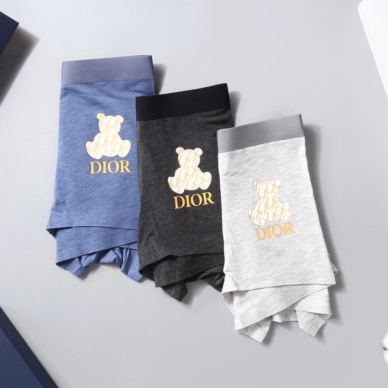 Christian Dior Underwear
