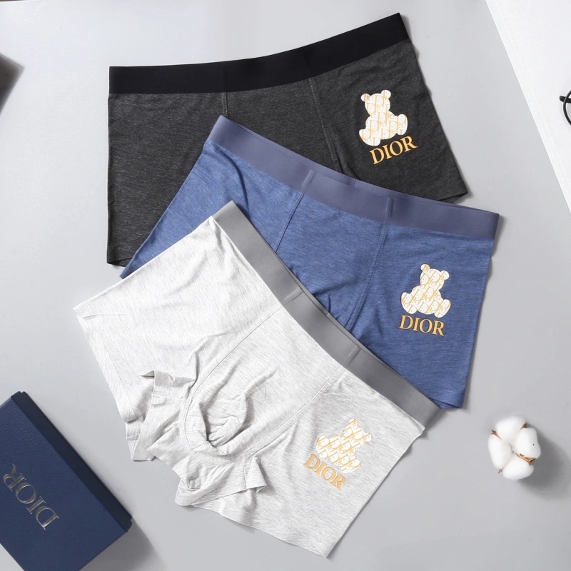 Accurate model Christian Dior Underwear