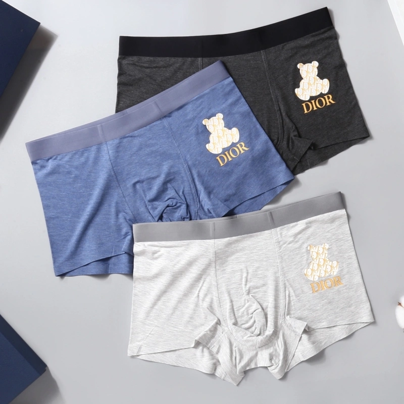 Accurate model Christian Dior Underwear