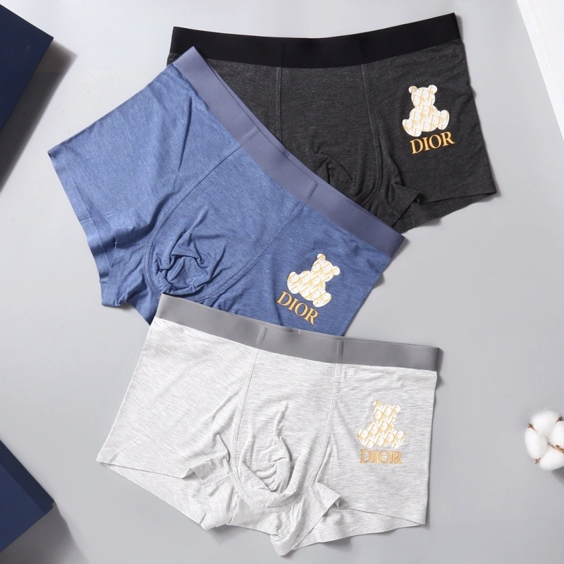Accurate model Christian Dior Underwear