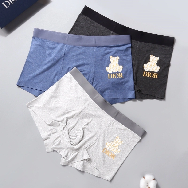 Accurate model Christian Dior Underwear