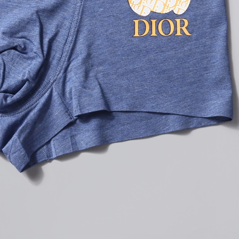 Accurate model Christian Dior Underwear