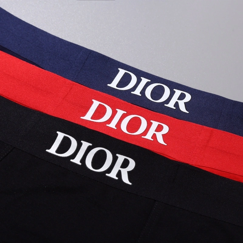 Discounted Christian Dior Underwear
