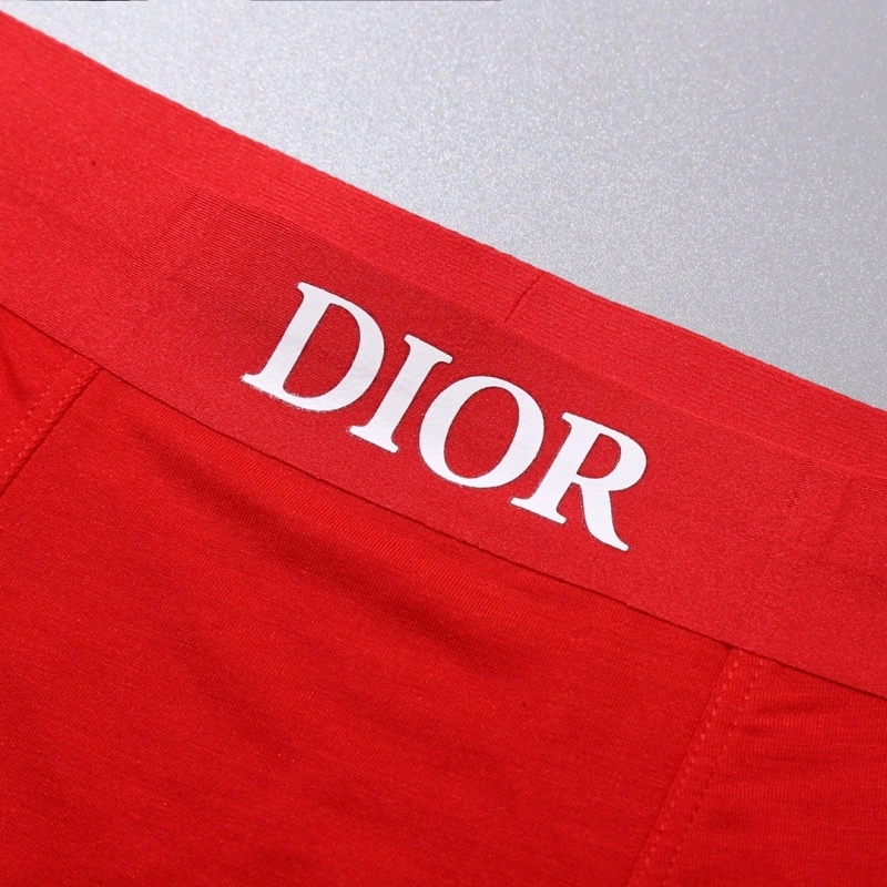 Discounted Christian Dior Underwear