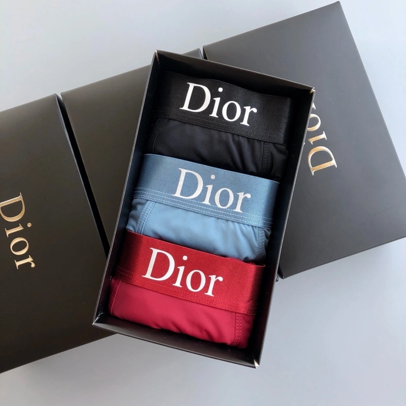 Christian Dior Underwear