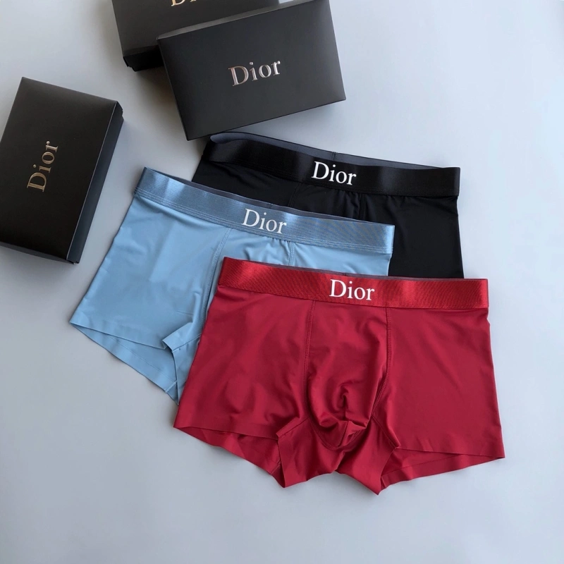Reasonably priced Christian Dior Underwear