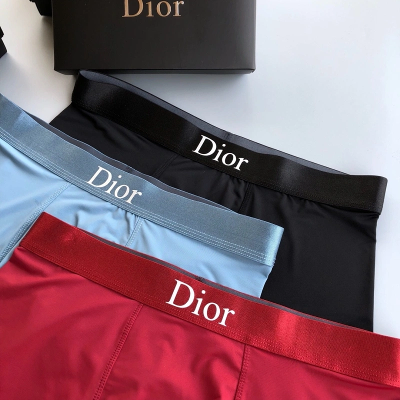Reasonably priced Christian Dior Underwear