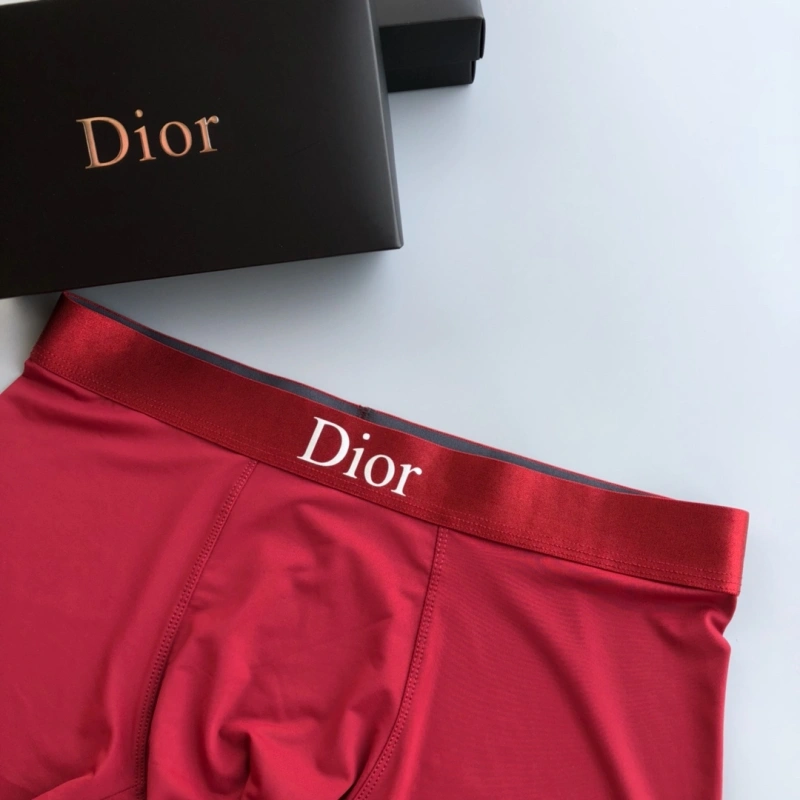 Reasonably priced Christian Dior Underwear