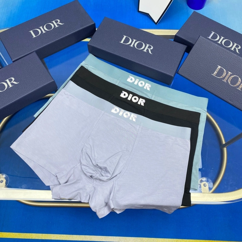 Christian Dior Underwear