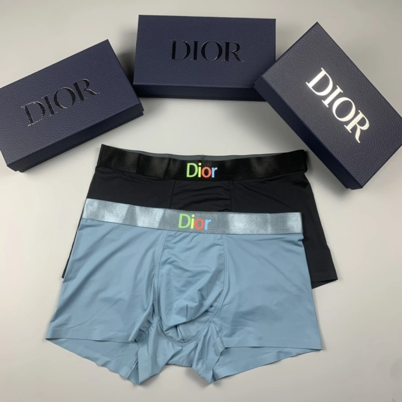 Christian Dior Underwear