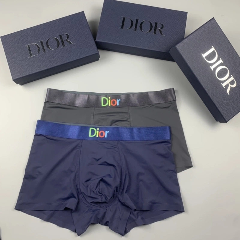 Exact replica Christian Dior Underwear