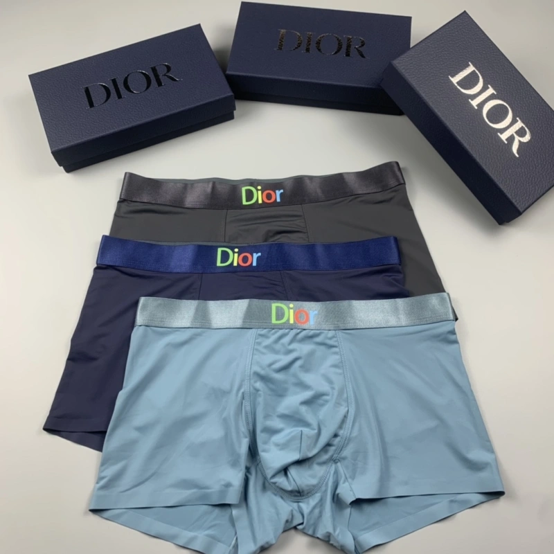 Exact replica Christian Dior Underwear