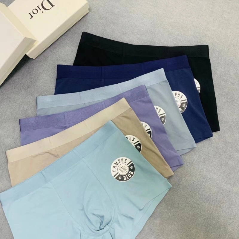 Value-priced Christian Dior Underwear