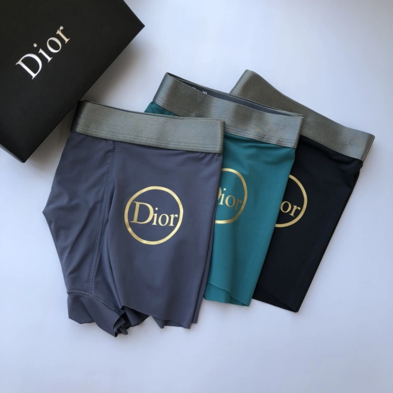 Christian Dior Underwear