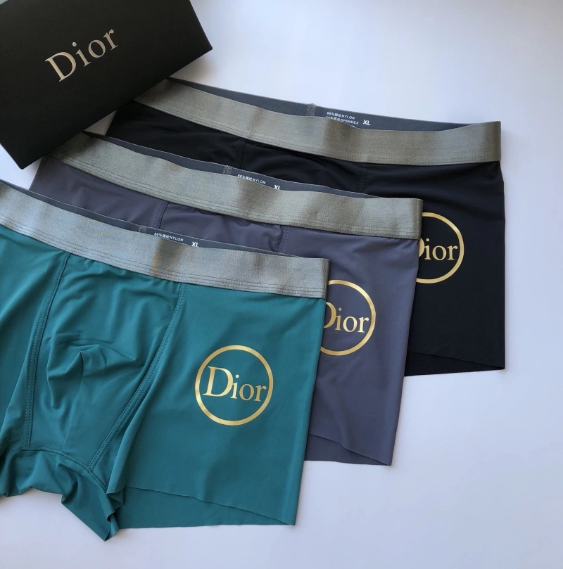 Indistinguishable Christian Dior Underwear