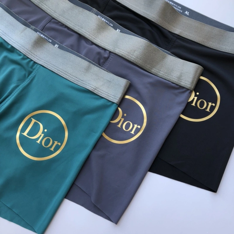 Indistinguishable Christian Dior Underwear