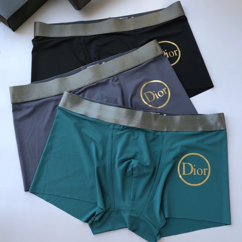 Indistinguishable Christian Dior Underwear