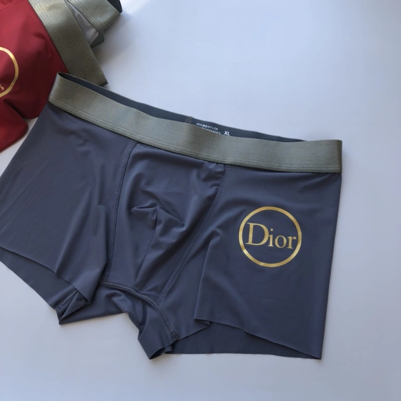 Indistinguishable Christian Dior Underwear