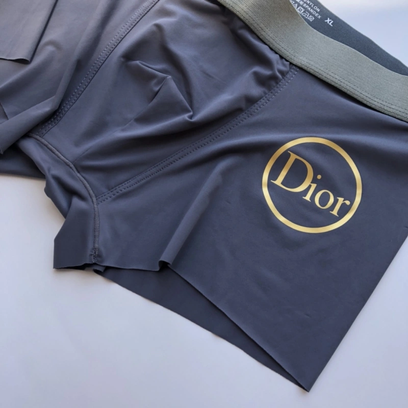 Indistinguishable Christian Dior Underwear