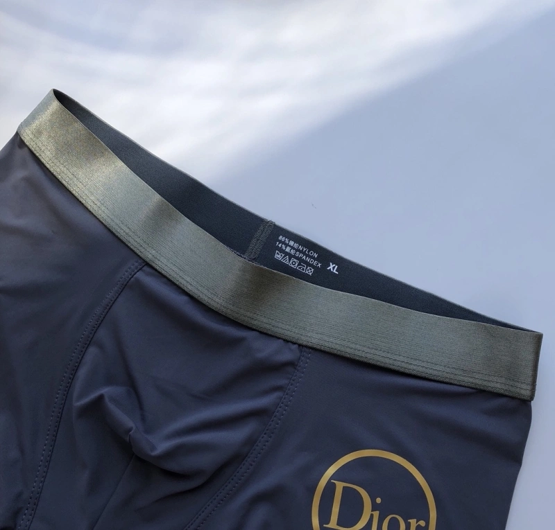 Indistinguishable Christian Dior Underwear