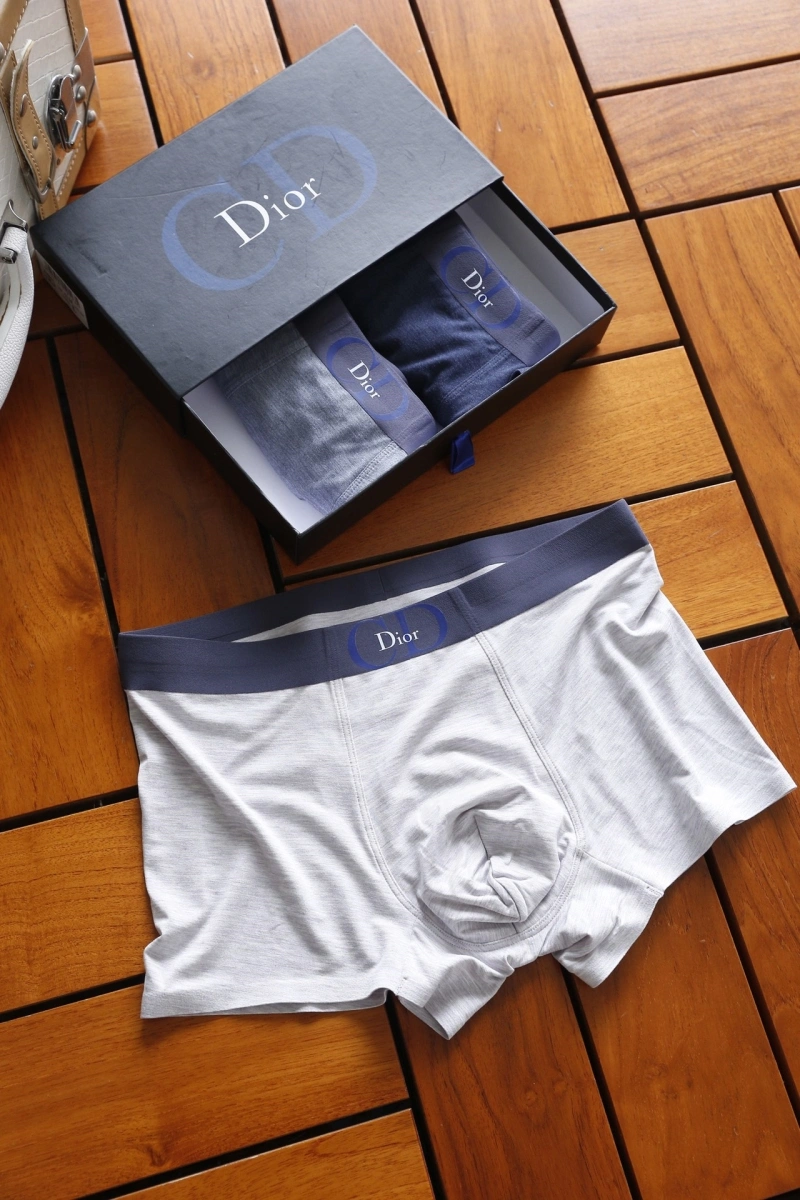Christian Dior Underwear