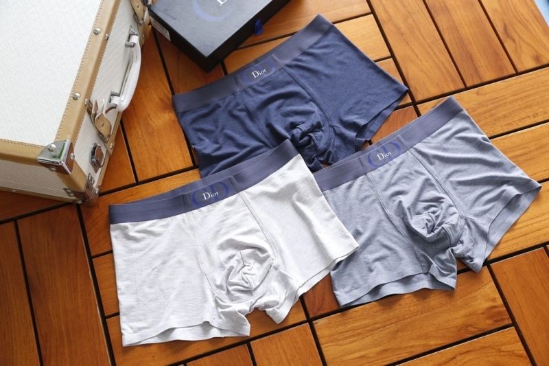 Budget-friendly Christian Dior Underwear
