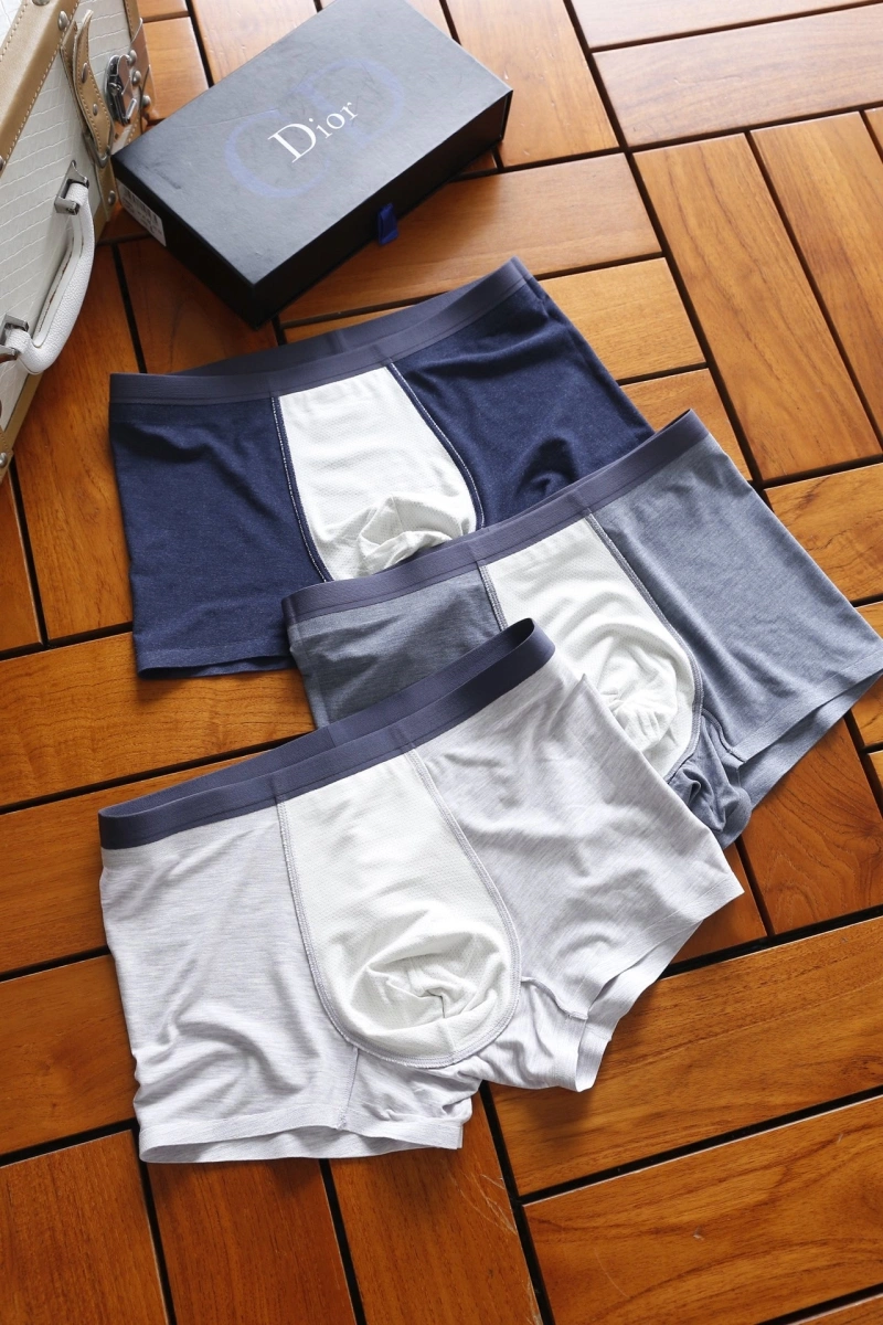 Budget-friendly Christian Dior Underwear