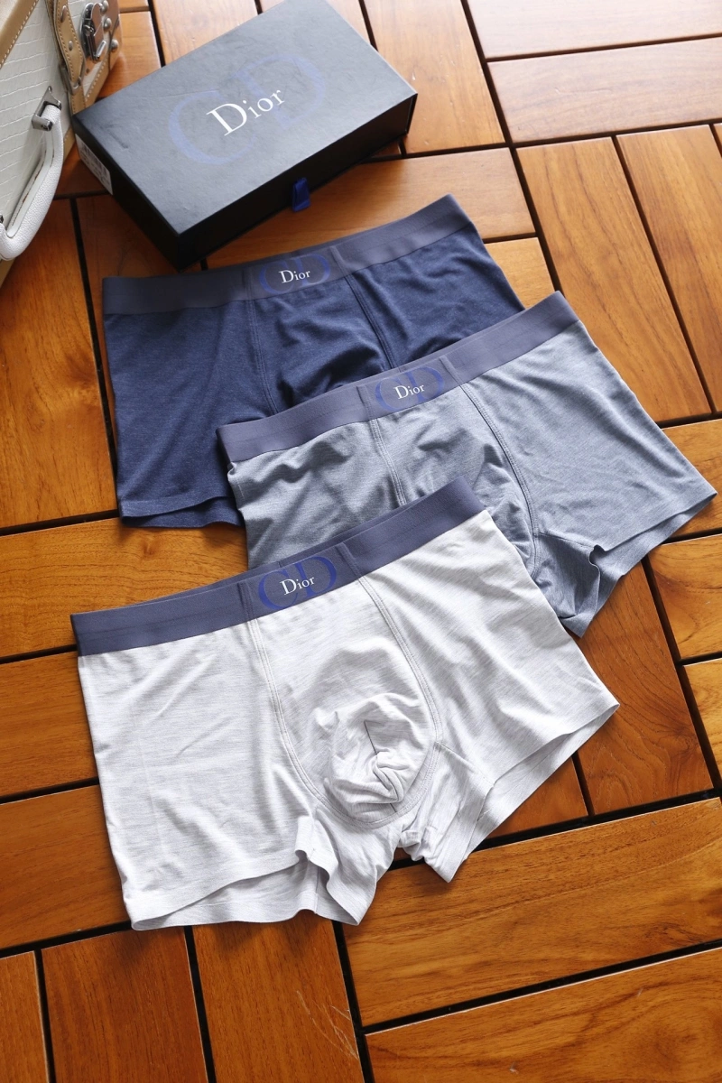 Budget-friendly Christian Dior Underwear