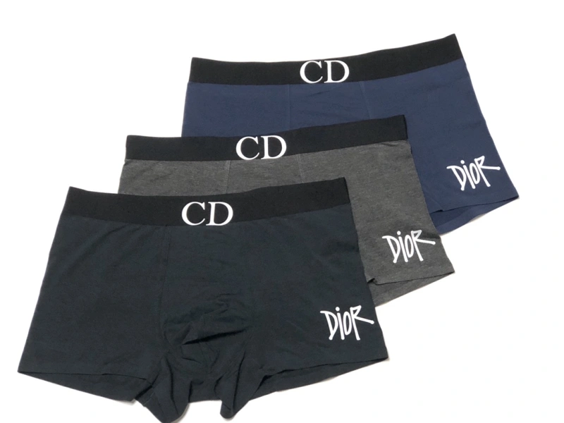 High accuracy Christian Dior Underwear