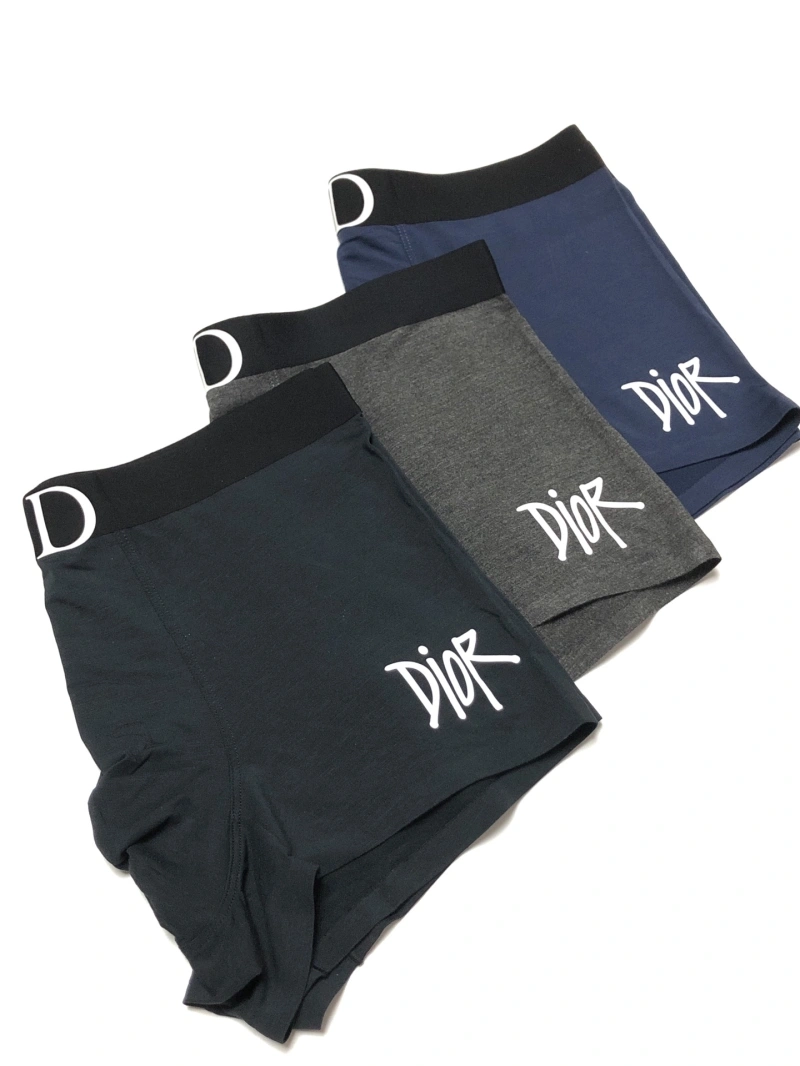 High accuracy Christian Dior Underwear