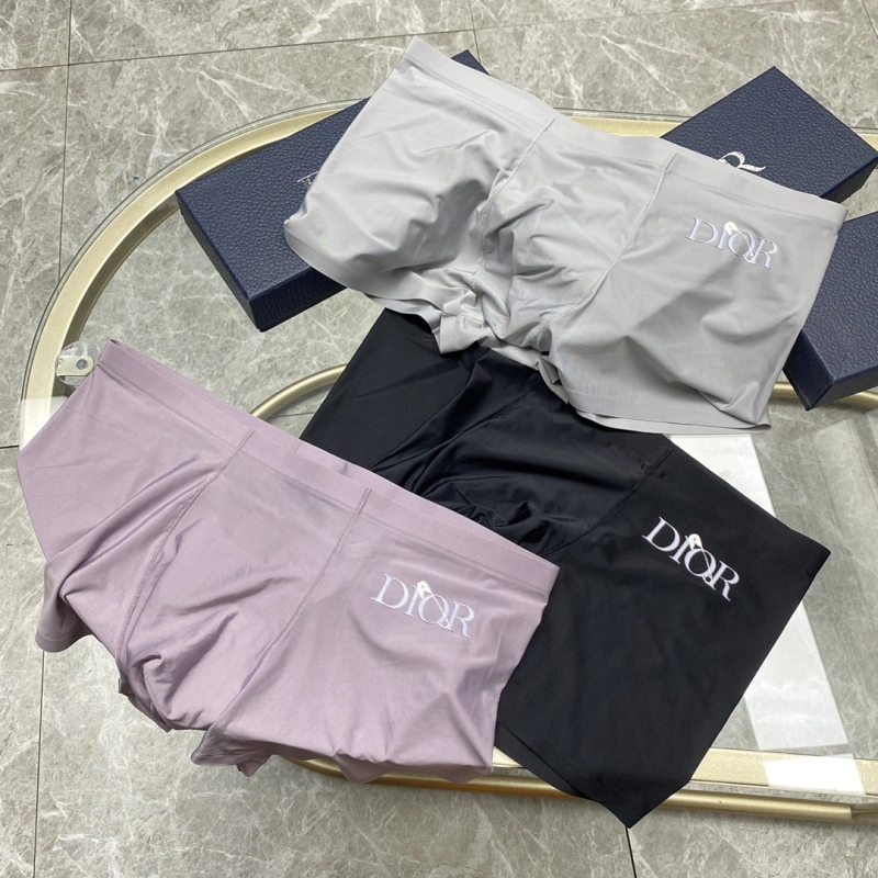Indistinguishable Christian Dior Underwear
