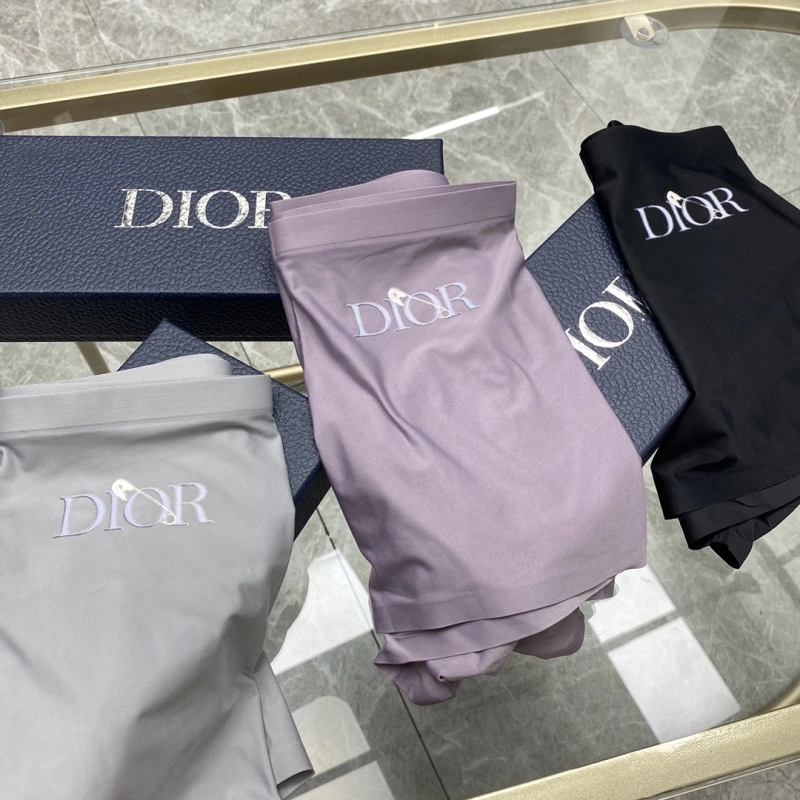 Indistinguishable Christian Dior Underwear